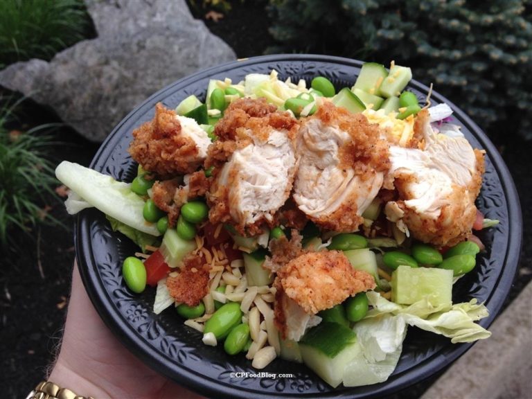 Review: Cedar Point Frontier Inn Asian Chicken Salad - FUN Food Blog