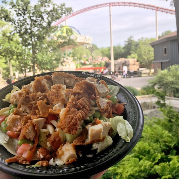 Review: Cedar Point Frontier Inn Asian Chicken Salad - FUN Food Blog