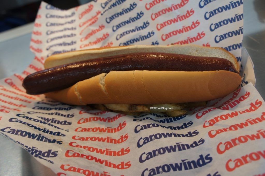 Carowinds Fair Fries - FUN Food Blog