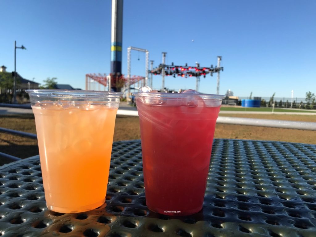 2019 Cedar Point Frontier Festival - FUN Food Blog