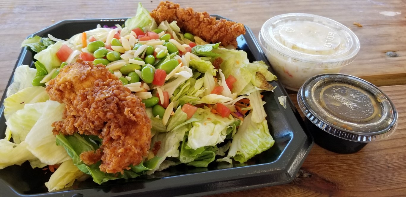 Review: Cedar Point Asian Chicken Salad - FUN Food Blog