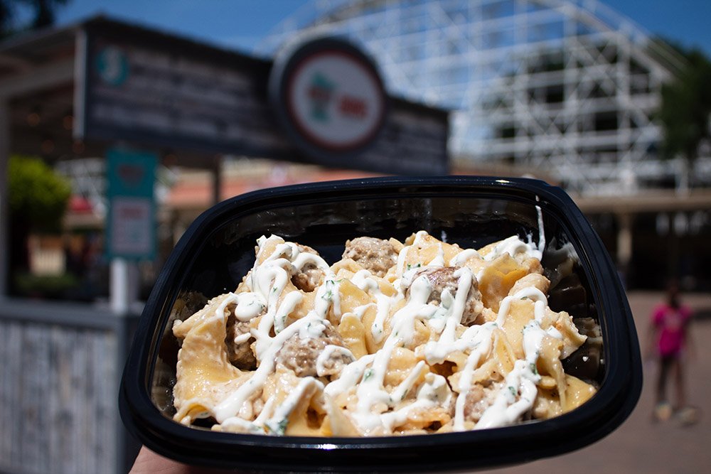 2019 Valleyfair Minnesota Eats - FUN Food Blog