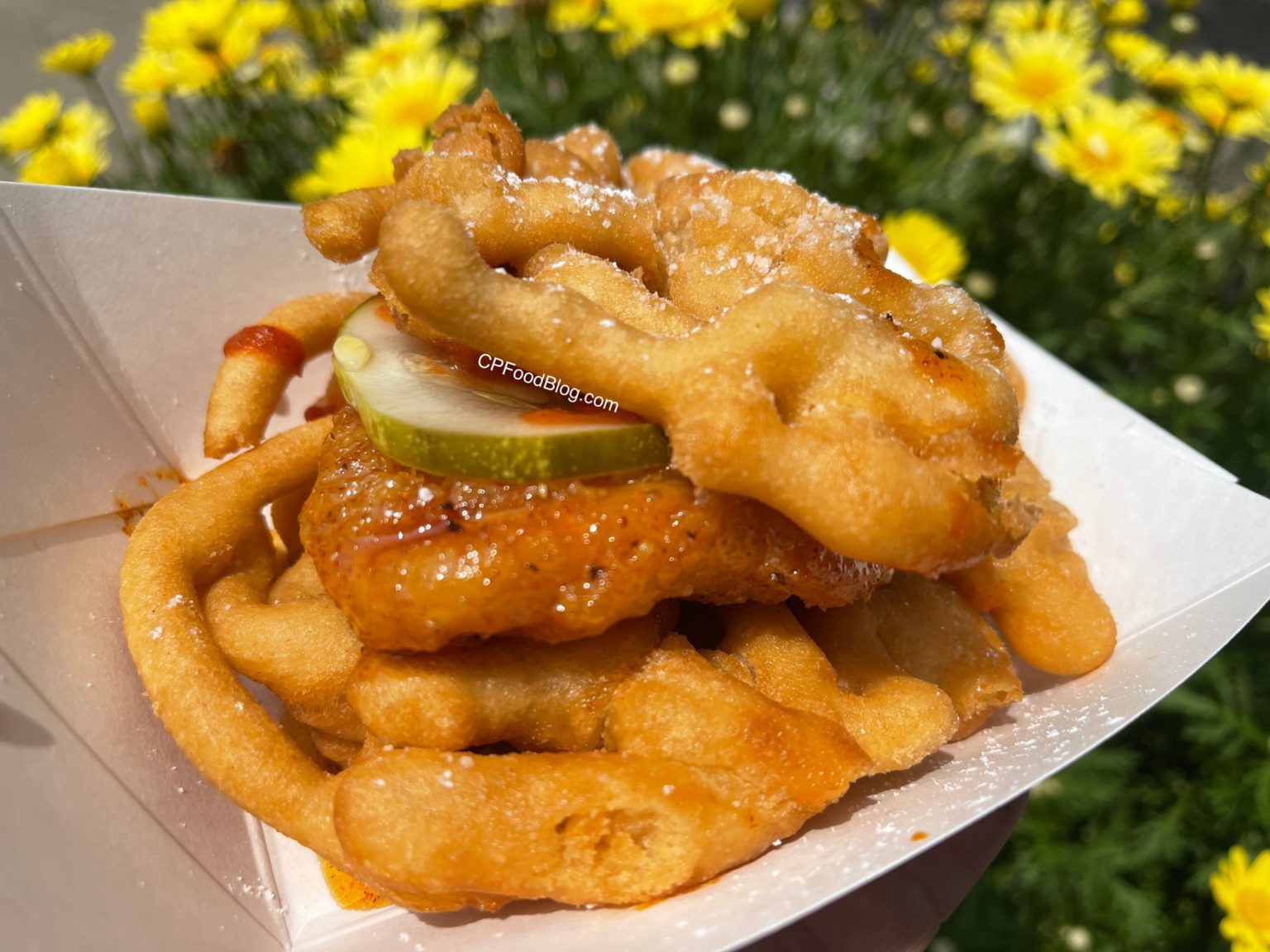 2021 Taste of Cedar Point Food Tour - FUN Food Blog